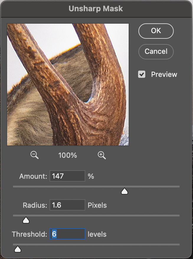 Sharpening in Photoshop: Everything You Need to Know - Adorama