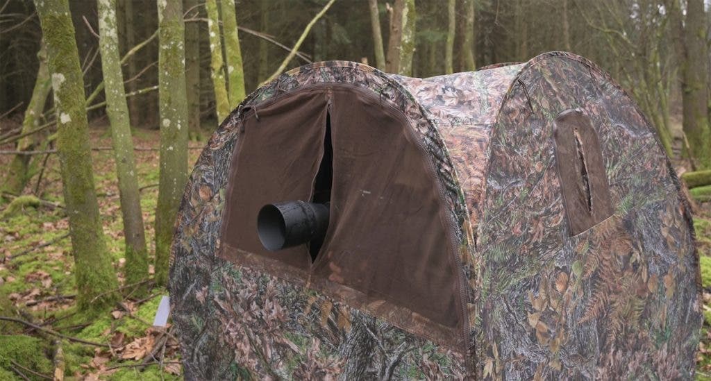 5 Hacks to Get Amazing Photos with a Budget Wildlife Lens - Adorama