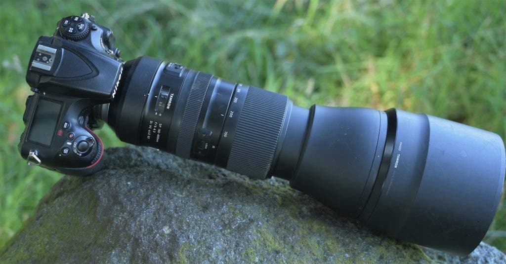 5 Hacks to Get Amazing Photos with a Budget Wildlife Lens - Adorama