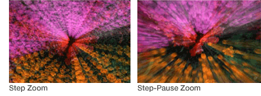 Click and zoom | Expert photography blogs, tip, techniques, camera ...