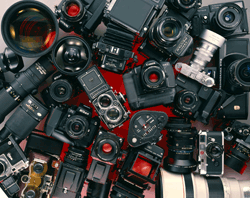 Anatomy of a Still Life | Expert photography blogs, tip, techniques ...