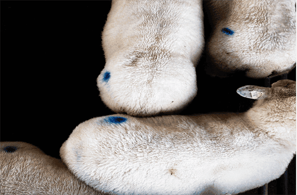 A Conversation with Photo Editor Jack Caffrey - Adorama