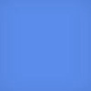 Lee Filters 4x4" 85 Color Conversion Polyester Filter 85-P - Adorama