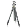 Vanguard ALTA PRO 2+ 264AB 4-Section Aluminum Tripod with BH-100 Ball ...