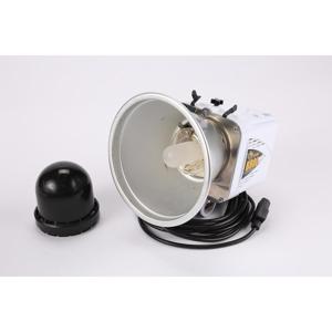 Used Paul C. Buff / Alienbees B800 Flash Unit Head - White SKU#1597725 ...
