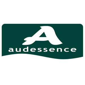 Audessence ProCoder-2 Audio Processor and Stereo Encoder, Left/Right ...