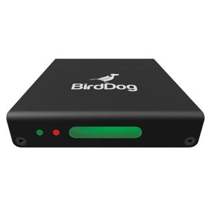 BirdDog Mini HDMI to NDI Encoder BDMINIHDMI - Adorama