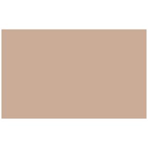 Adorama Seamless Background Paper, Natural #25 BD BD116A2 - Adorama