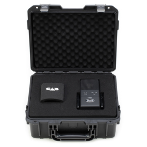 CAD Audio EC100 Heavy-Duty Molded Case with Foam for Equitek E100 and ...