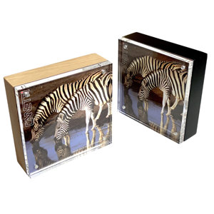 Canetti Wood Back Magnet Frame, 4x4", Black
