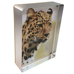 Canetti Prestige Magnet Frame, 2x4", Silver - Adorama