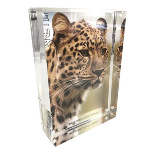 Canetti Prestige Magnet Frame, 5x7", Clear LC605 - Adorama