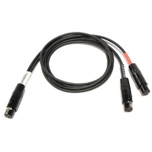 Cable Techniques 24" TA3F to 2x TA5F Interface Cable for Sound Devices ...