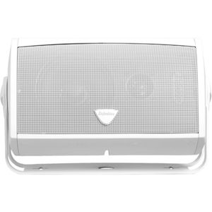 Definitive Technology AW5500 All-Weather Outdoor Speaker with 5.25 ...