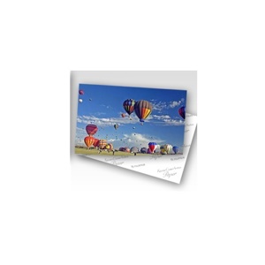 Fujifilm Fujicolor Crystal Archive Glossy Type II Paper, 8" x 610' Roll ...