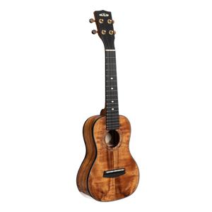 Kala Gloss All Solid Hawaiian Koa Concert Ukulele with Case ...