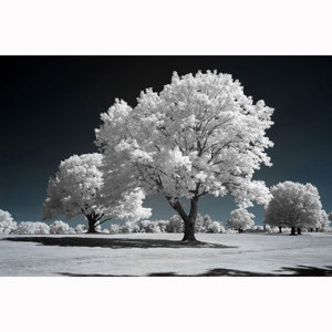 Kolari Vision 37mm 720nm Infrared Lens Filter 37MMK720-01 - Adorama