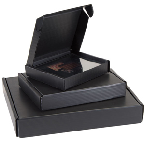 Lineco Polypropylene Clamshell Storage Box for 5x7" Photos, 1.125 ...