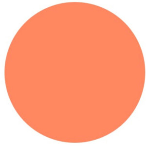 TargDots Lyman 3" Target Dots, Pack of 25