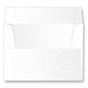 Collectors Gallery Mailing Envelope for 3x5" Folders/Frames, White, 25-Pack