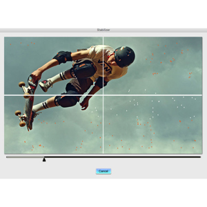 NewBlueFX Stabilizer Video Software Plug-in, Electronic Download