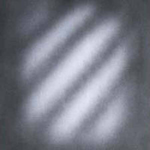 Interfit INT750 Master Muslin Cloth Background Venice - Adorama