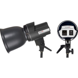 Interfit SXT3200 Tungsten Flood Light Head, 250W Bulb - Adorama