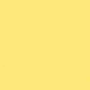 Rosco 96 Roscolux Lime, 20x24 Color Effects Filter 100000962024