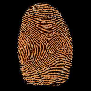 Sirchie DFO Spray Pump, 100ml DFS300 - Adorama