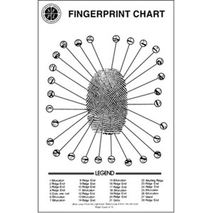 Sirchie Fingerprint Ridge Structure Wall Chart FC349 - Adorama