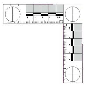 Sirchie Forensic Scale, Black on White, 4.13" x 4.13" PPS801 - Adorama