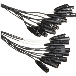 Whirlwind 25' Medusa Multitrack 12-Ch XLRF to XLRM Fanout Snake Cable ...
