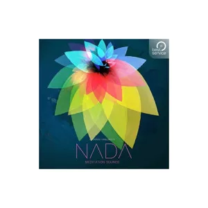Best Service NADA Virtual Instrument, Download 77923