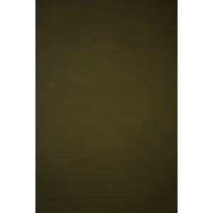 Gravity Backdrops Hand Painted Classic Strong Backdrop, 8.9x16.4 ...