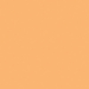 Lee 204 Full Orange (CTO), 20 x 24in Color Filter - Adorama