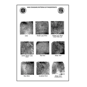 Sirchie 'Nine Standard Patterns of Fingerprints' Wall Chart