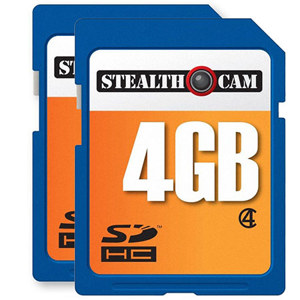 Stealth Cam 4GB SD Memory Card for Digital Cameras, 2 Pack