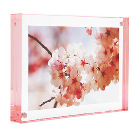 Canetti Color Edge Magnet Frame, 4x6", Rose LC504R - Adorama