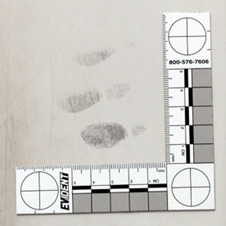 Evident 4x4" Magnetic Photomacrographic Scale EV5170 - Adorama