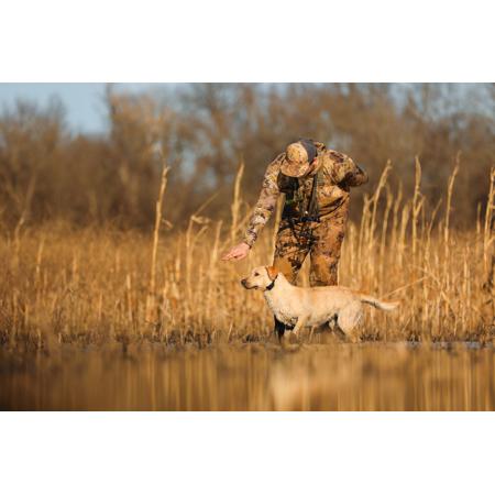 Garmin Delta SE Dog Training System with Dog Collar and Handheld Device ...