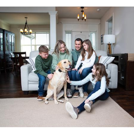 Garmin Delta SE Dog Training System with Dog Collar and Handheld Device ...