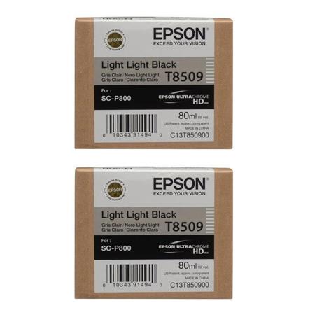 Epson 2x T850 Inkjet UltraChrome HD Ink Cartridge f/SureColor P800, Lt ...