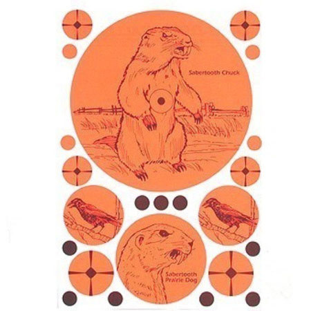 TargDots Lyman Varmint Assorted Shooting Targets, 10 Pack