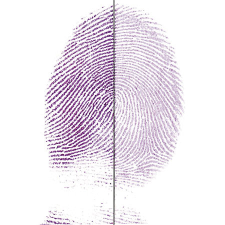 Safariland 3M Novec Engineered Fluid HFE-7100, Gallon - Adorama