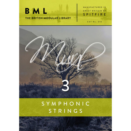 Spitfire Audio Symphonic Strings Mural 3 Orchestral String Library ...