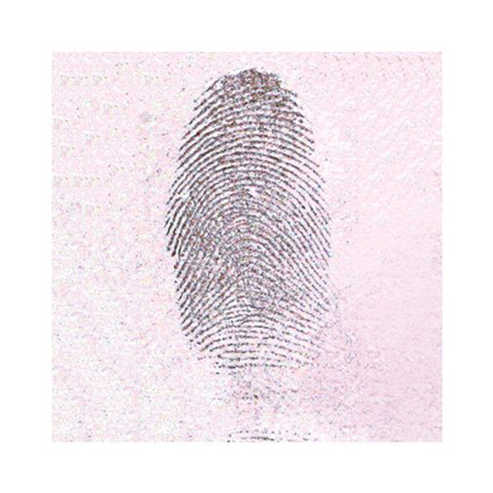 Sirchie Physical Developer Reagent Set, 3.8l LPD101 - Adorama