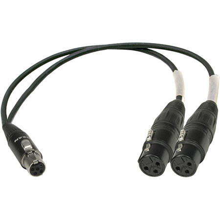 Ambient Recording 1.31' TA-5 Female to Two XLR 3-Pin Female Adapter ...