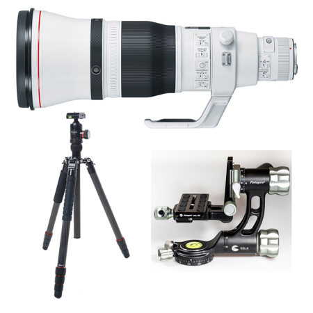 Canon EF 600mm f/4L IS III USM Lens with Tripod Bundle - Adorama