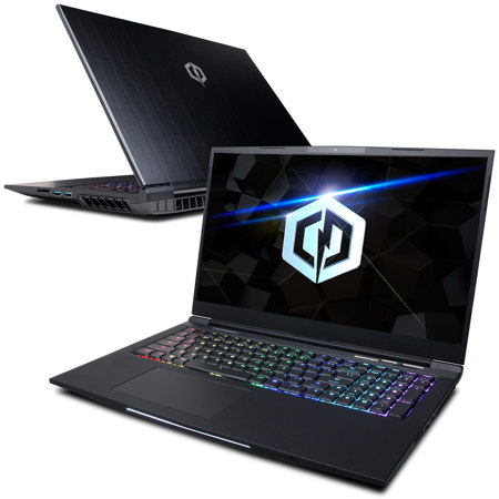 CyberPowerPC 17.3" Notebook, i7-9750H 2.6GHz, 16GB RAM, 2TB SSD, RTX ...