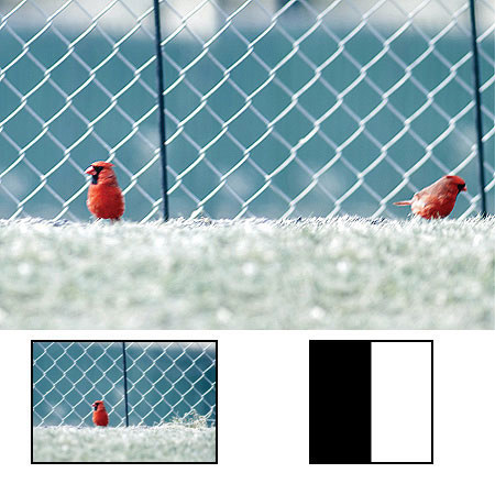 Hoya 49mm Dual Image Filter S-49DI-GB - Adorama